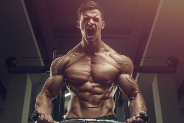 How to Get Shredded: Our Ultimate Guide | Jack City Fitness